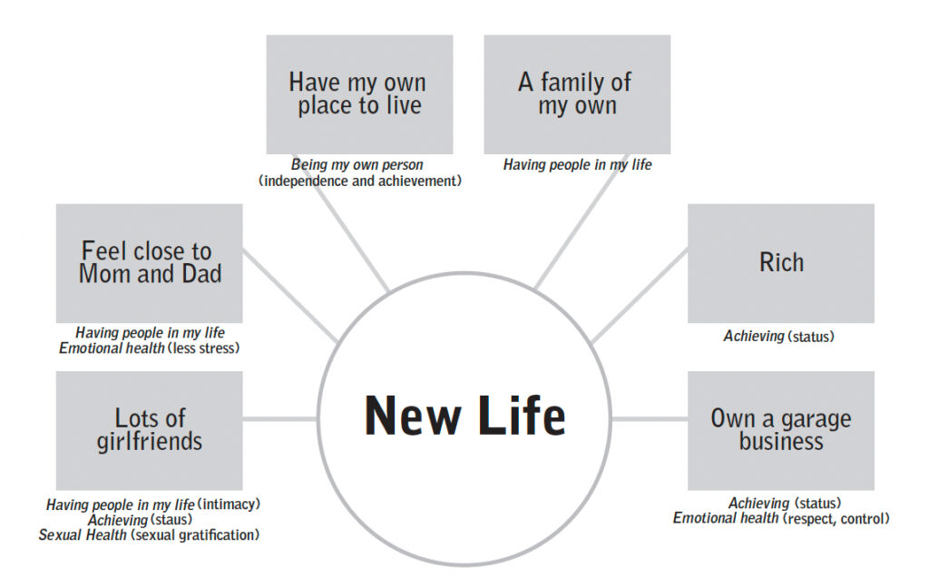 Good Lives Model for Adolescents Who Sexually Harm, The | Safer Society ...