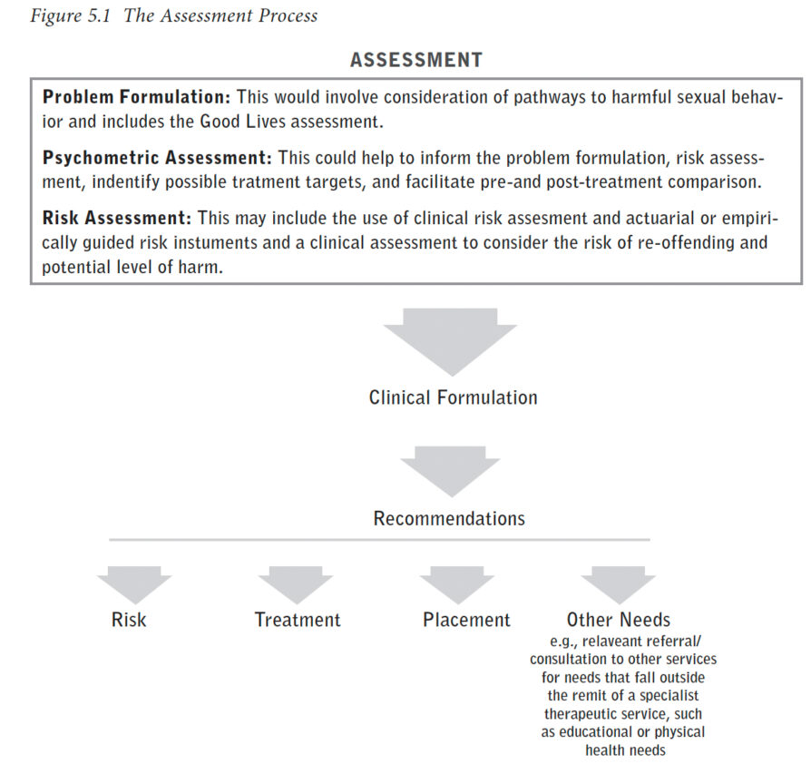 Good Lives Model for Adolescents Who Sexually Harm, The | Safer Society ...